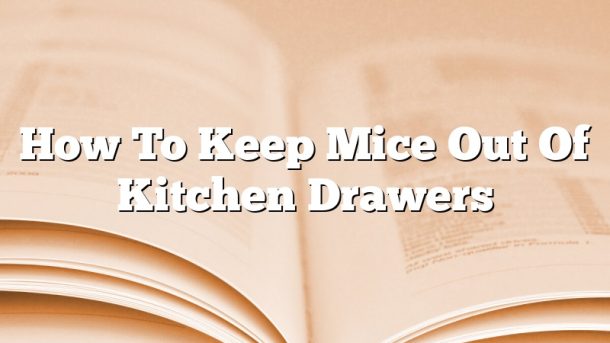 How To Keep Mice Out Of Kitchen Drawers - November 2022 ...